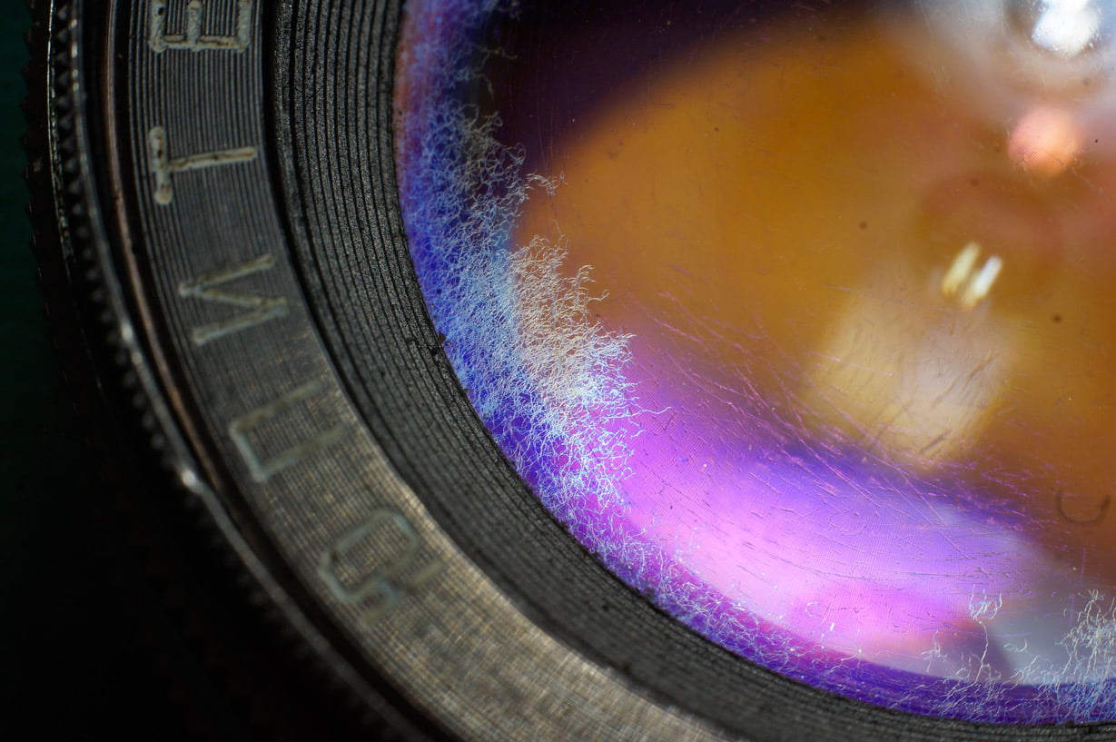 How To Prevent Fungus On Camera Lenses For Less Than $10 | My Other Eye